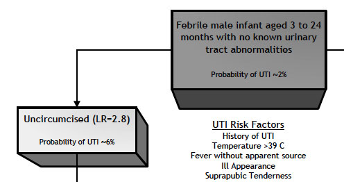Diagnosing Pediatric Urinary Tract Infections | Emergency Physicians ...