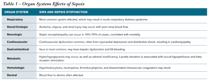 Sepsis Mimics | Emergency Physicians Monthly