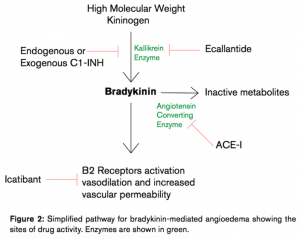 New Treatments for Angioedema | Emergency Physicians Monthly