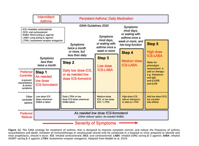 Puff Puff Passing Asthma Regimen | Emergency Physicians Monthly